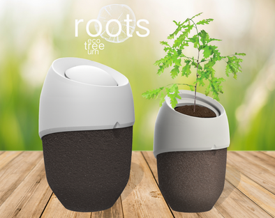 Roots - Biodegradable Cremation tree urns - with seeds – ROOTS - Muses Urns